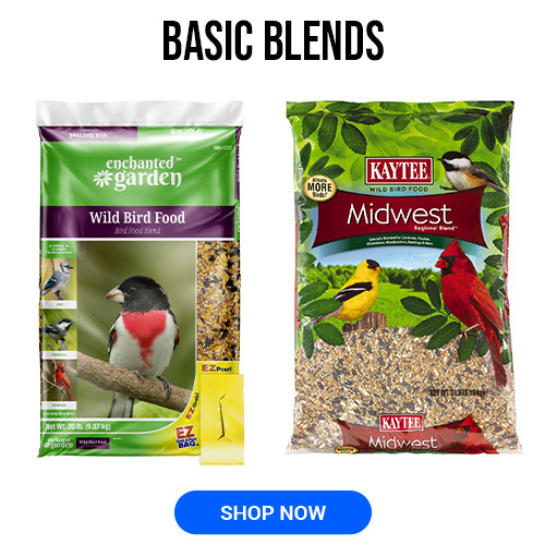 Bird Seed Buying Guide at Menards®