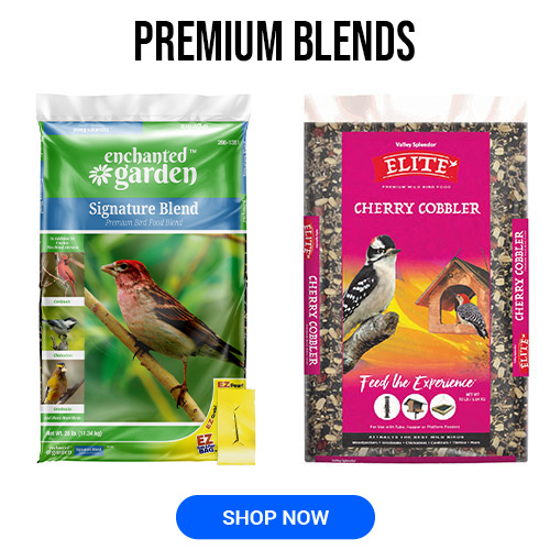 Bird Seed Buying Guide at Menards®