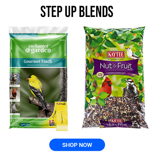 Bird Seed Buying Guide at Menards®