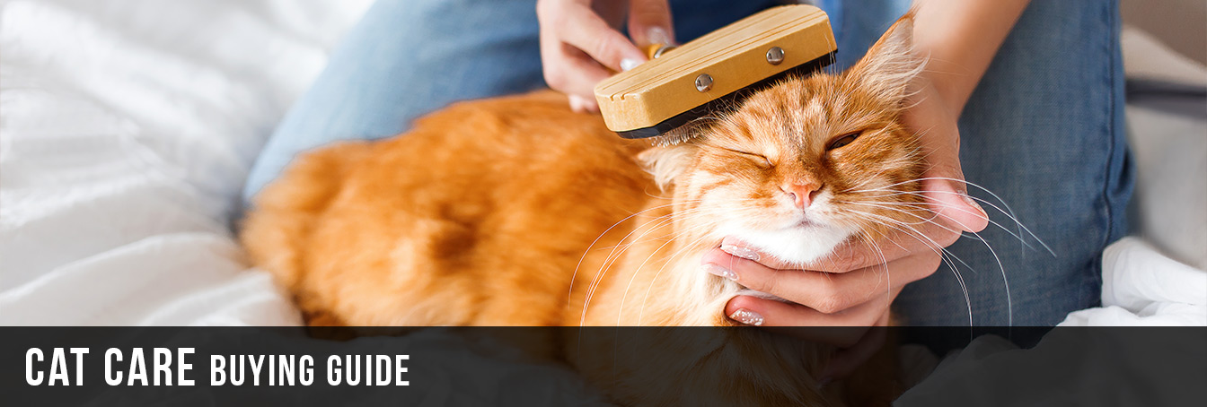 Cat Care Buying Guide at Menards®