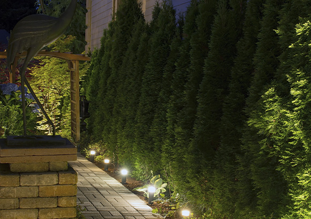 Menards Outdoor Electric Landscape Lights