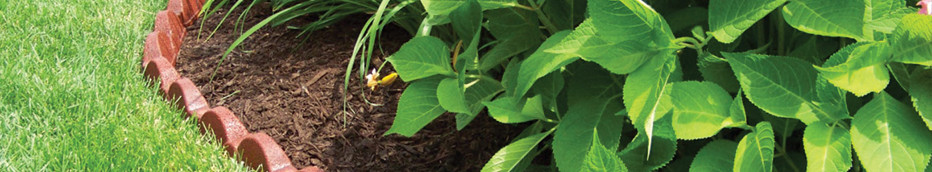 Mulch Buying Guide at Menards®