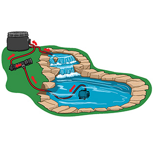 Ponds Buying Guide at Menards®