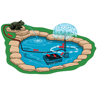 Ponds Buying Guide at Menards®