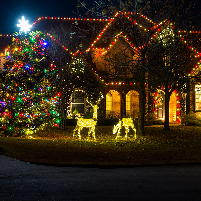 Menards Outdoor Christmas Lights 50ft Led Christmas Lights Outdoor