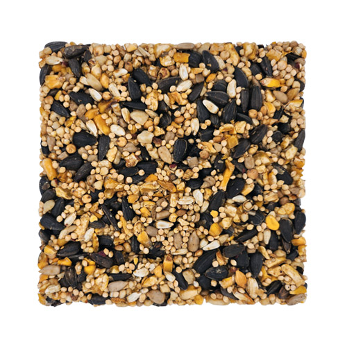 Enchanted Garden Bird Seed at Menards®