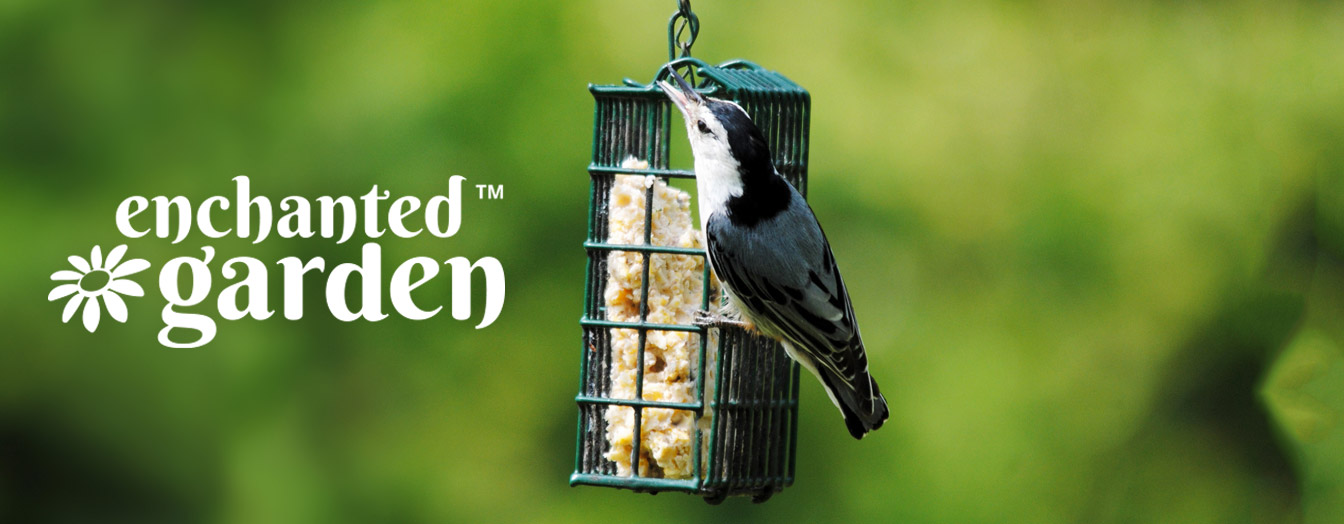 Enchanted Garden Bird Seed at Menards®