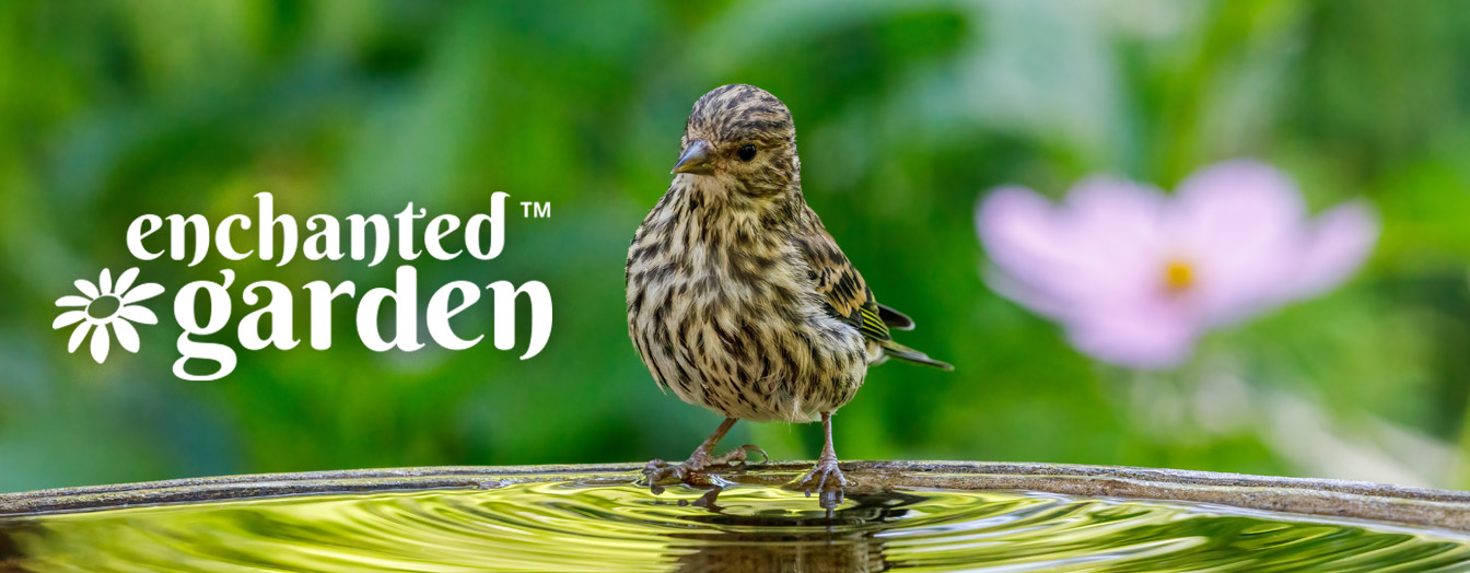 Enchanted Garden Bird Seed at Menards®