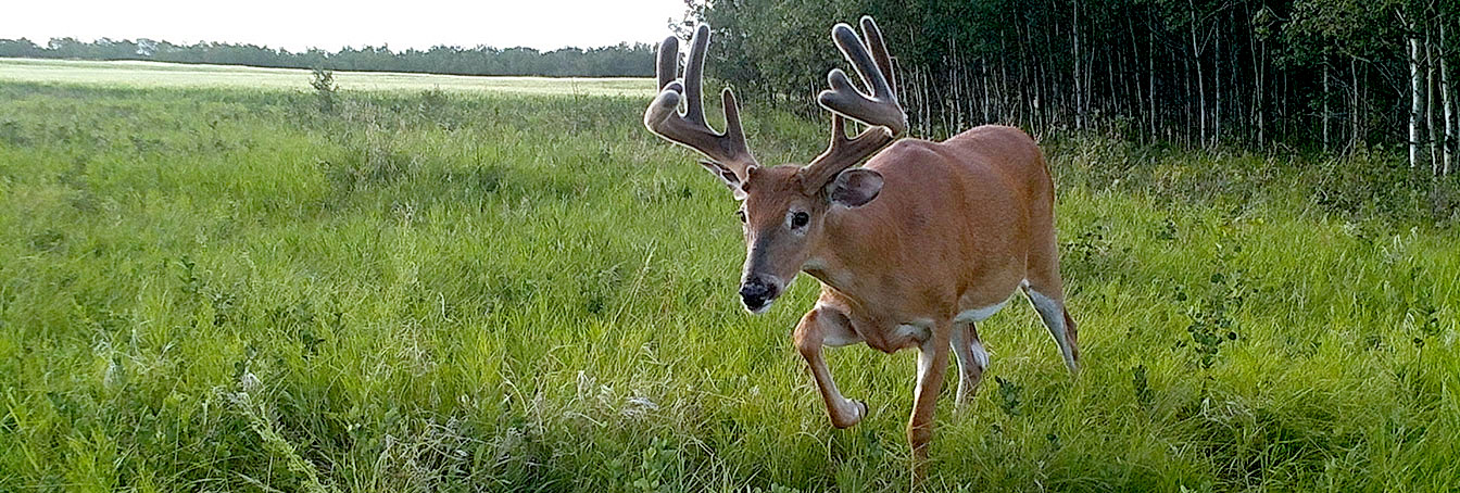 Hunting Equipment at Menards®