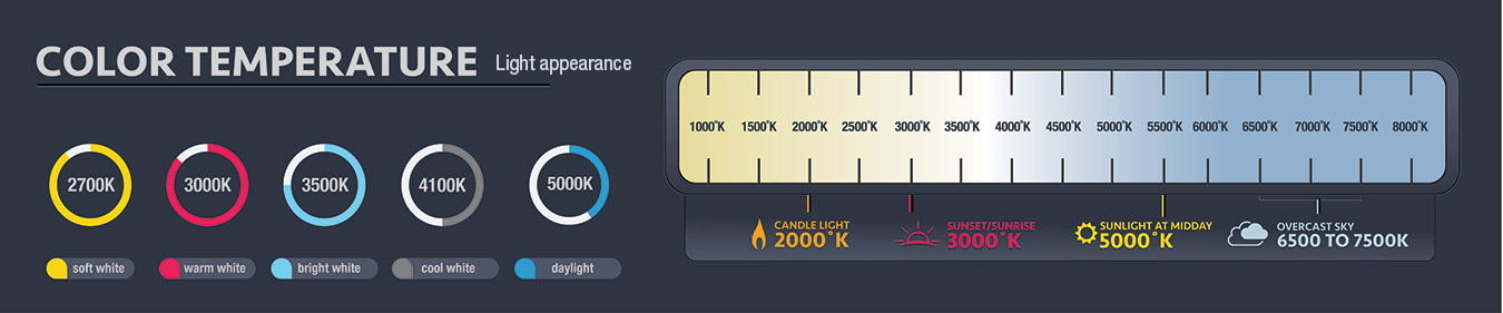 Light Bulbs at Menards®