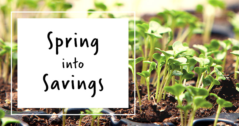 Spring into Savings at Menards®